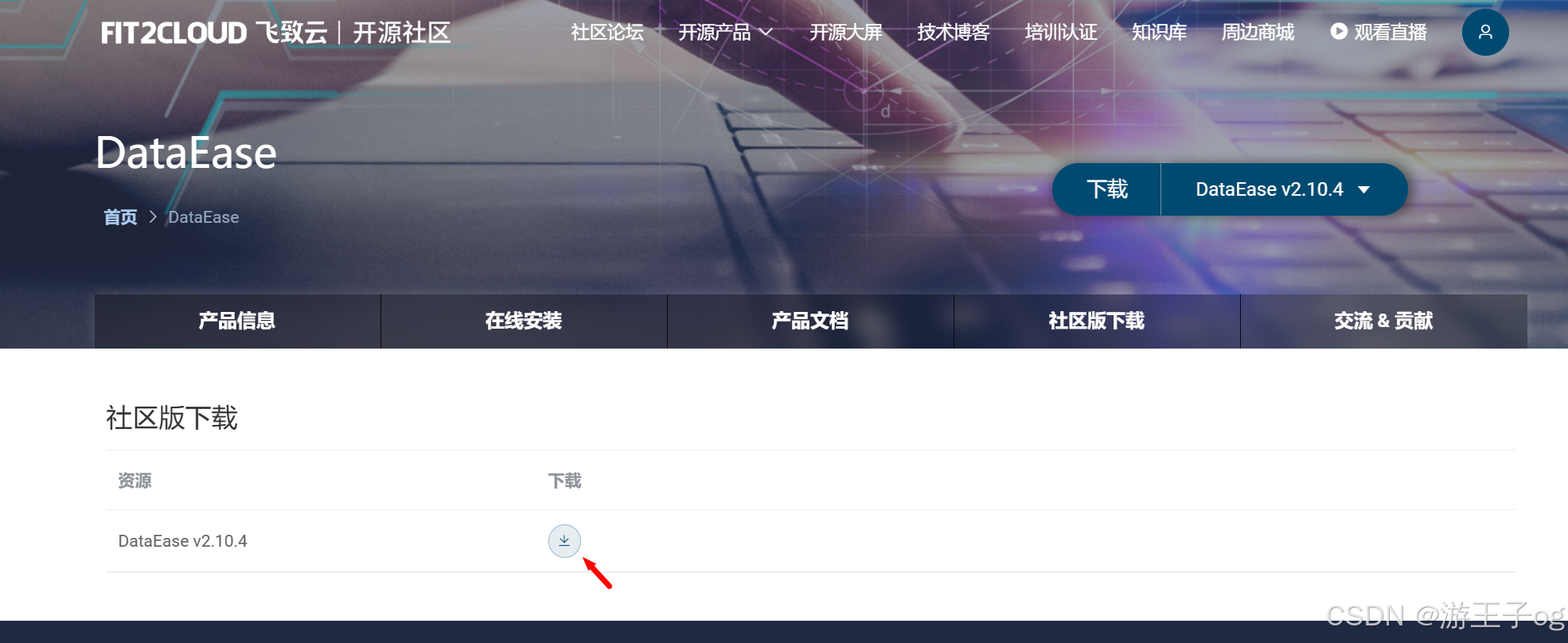 DataEase部署-CSDN博客