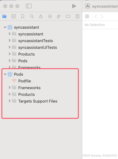 ios项目初步导入cocopods文件初始化_ios pod初始化-CSDN博客