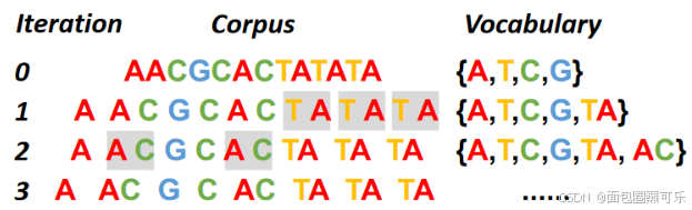 DNABERT-2：多物种基因组的高效基础模型和基准_dnabert2-CSDN博客