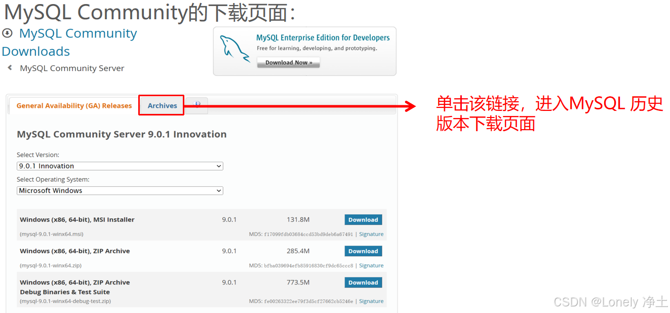 zip压缩包安装MySQL流程（保姆级教程）_mysql zip安装教程-CSDN博客
