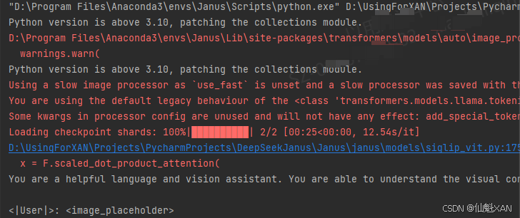 Python 【大模型】之 Deepseek 多模态 Janus 【图生文】【文生图】本地部署/代码调用 的简单整理_本地部署 janus-CSDN博客
