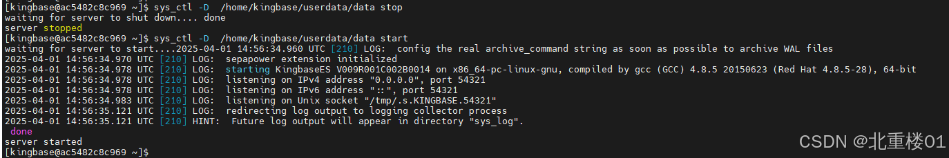 Docker部署金仓KingbaseES：5分钟极速体验_kingbase docker-CSDN博客