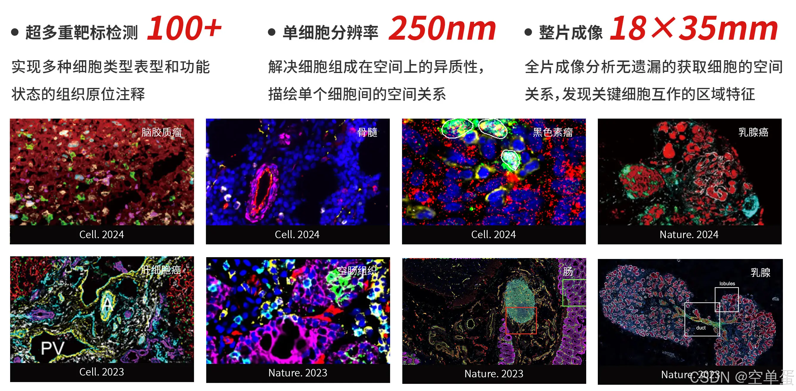 科研风向标 —— Nature Methods 发布2024年度技术，空间蛋白组学震撼登场！_pcf空间单细胞蛋白组-CSDN博客