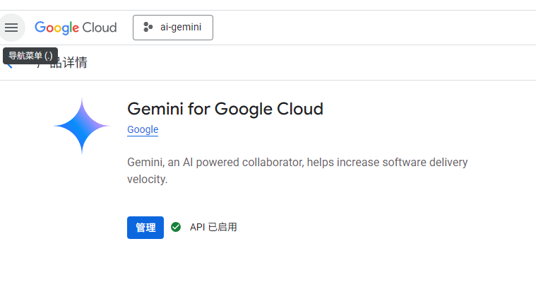 Google Gemini Cli 使用配置_gemmi cli-CSDN博客