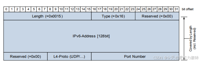 通信易懂唠唠SOME/IP——SOME/IP-SD报文格式_someip sd-CSDN博客