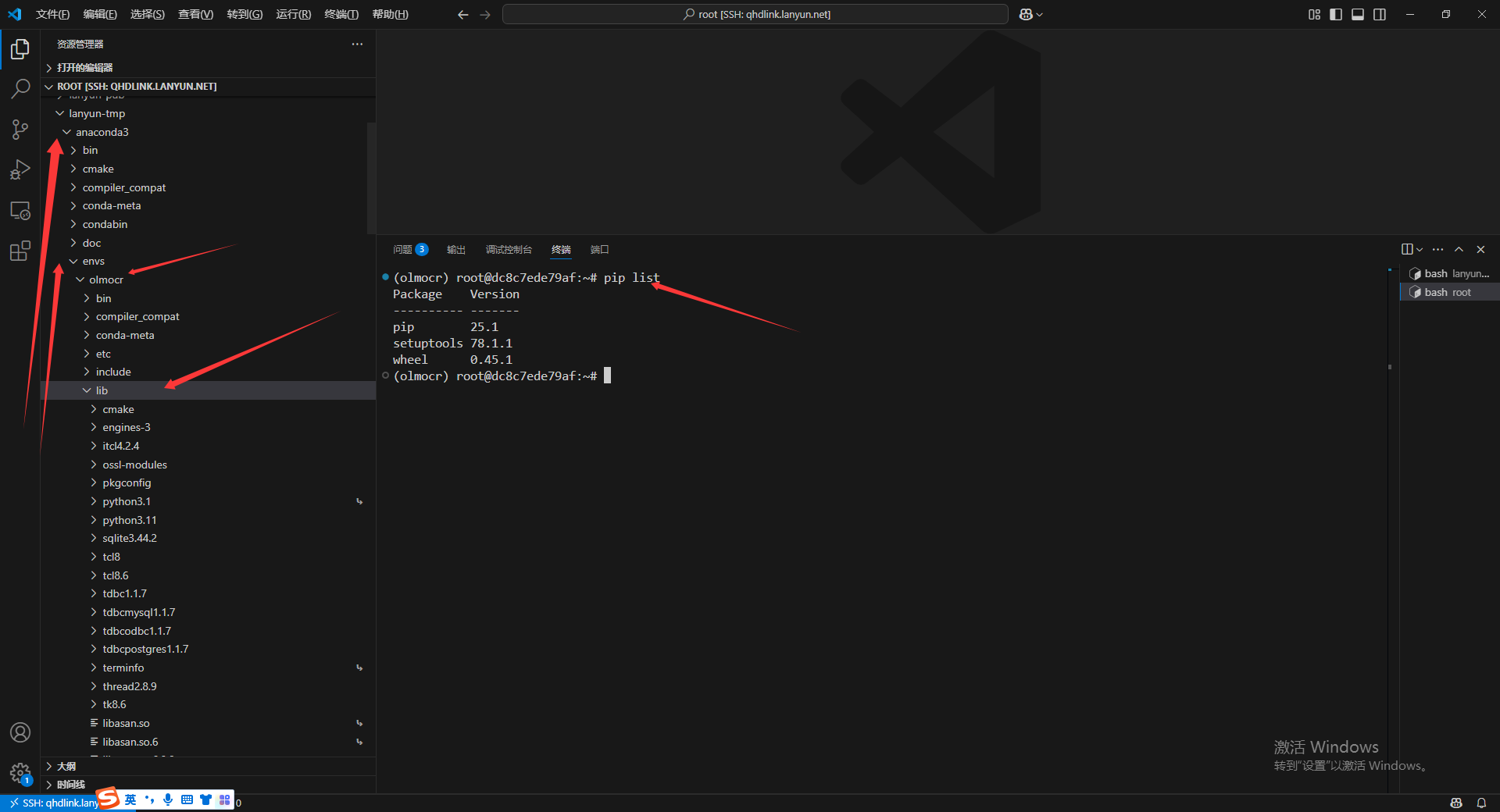 手把手教你使用云服务器和部署相关环境！！！_lanyun-tmp-CSDN博客