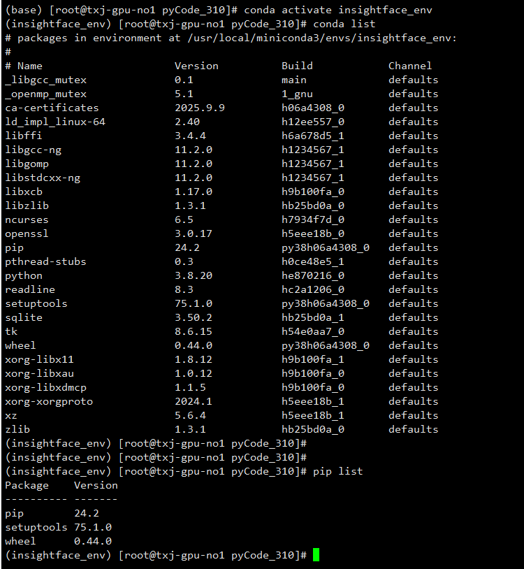 人脸识别insightface库环境搭建_insightface的安装指南-CSDN博客