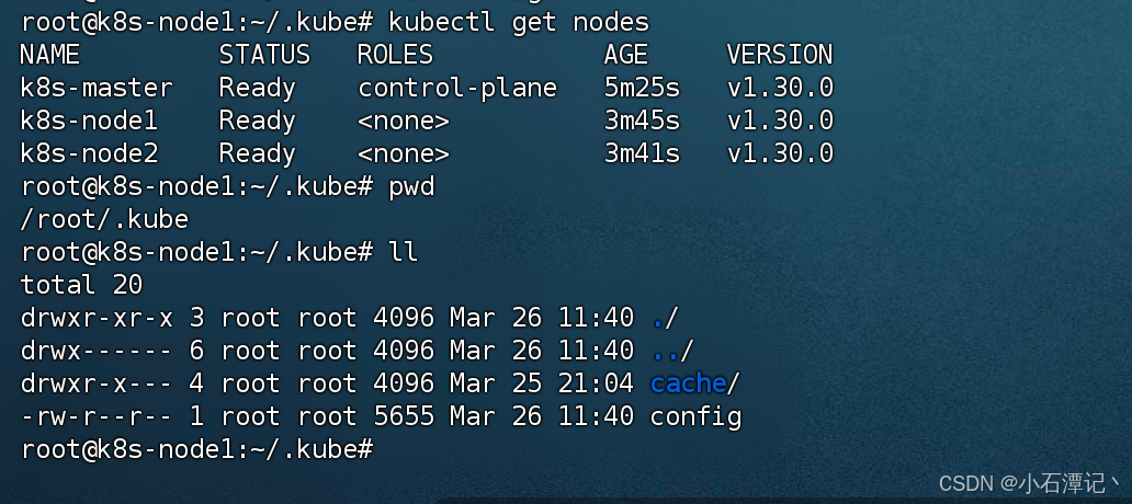 K8S节点使用kubectl get nodes-CSDN博客