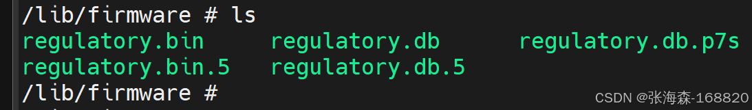 移植WiFi cfg80211报错：failed to load regulatory.db，解决方法_cfg80211: failed to load regulatory.db-CSDN博客