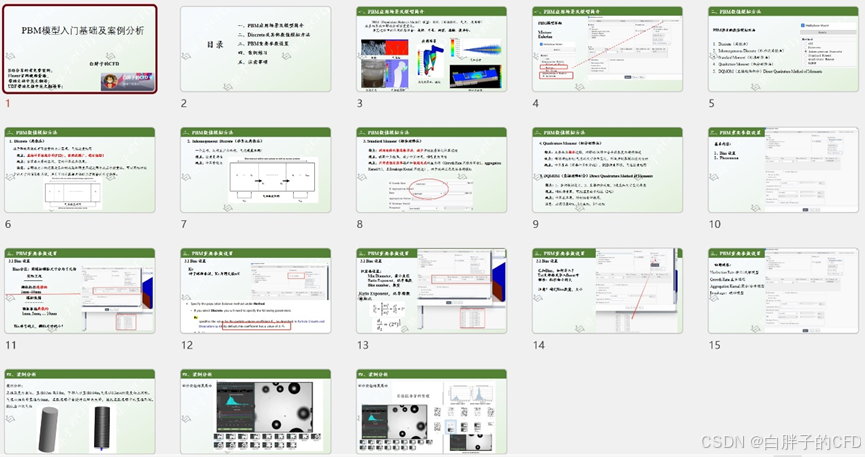 PBM模型深入解析与案例实践-CSDN博客