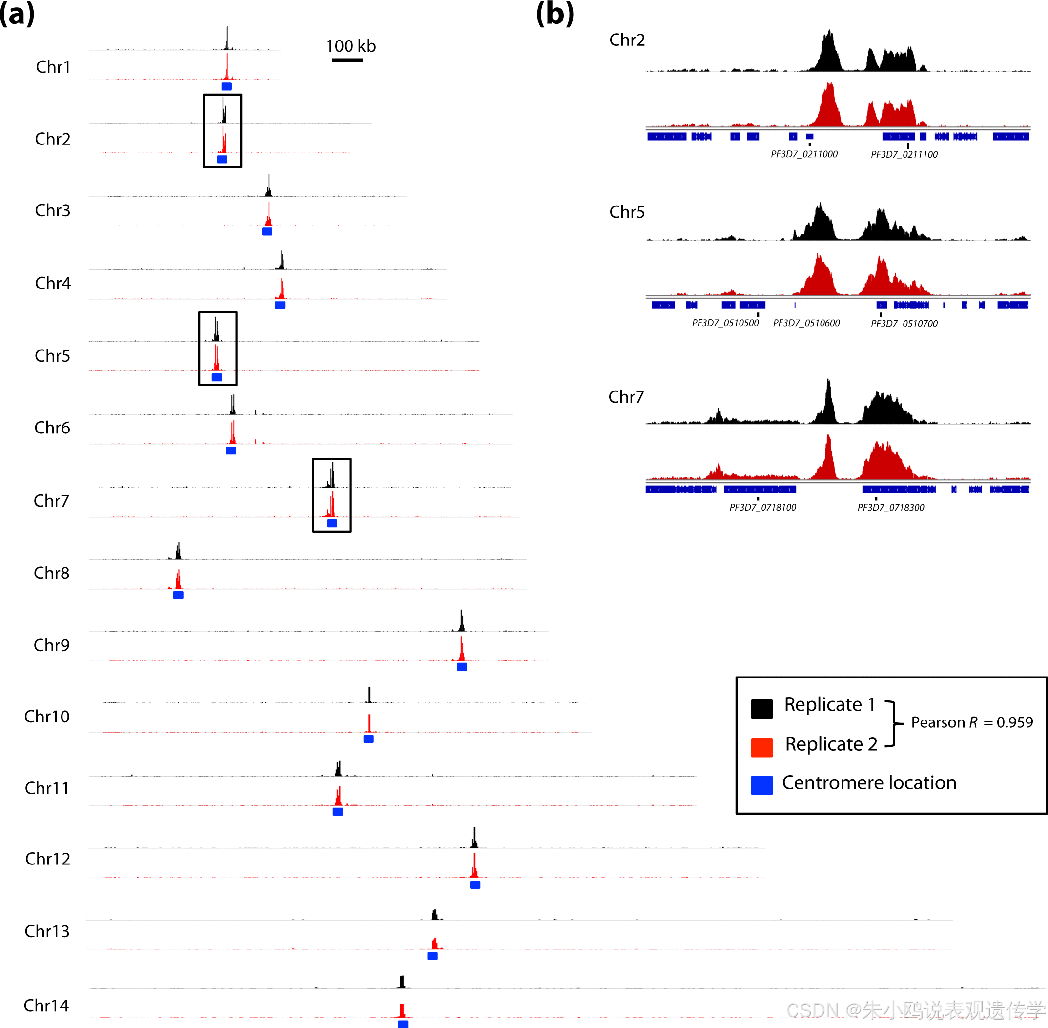 染色质免疫沉淀(ChIP)技术笔记之(4)：实验结果&示例展示_chipqpcr结果分析-CSDN博客