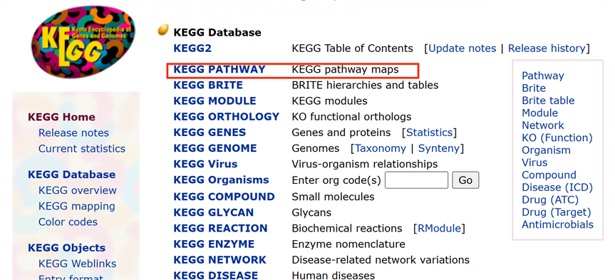 KEGG 通路图看不懂？手把手带你从入门到通透_kegg通路-CSDN博客