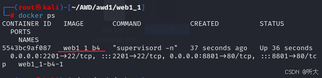 kali安装AWD环境的实验复现_kali+docker下awd环境搭建-CSDN博客