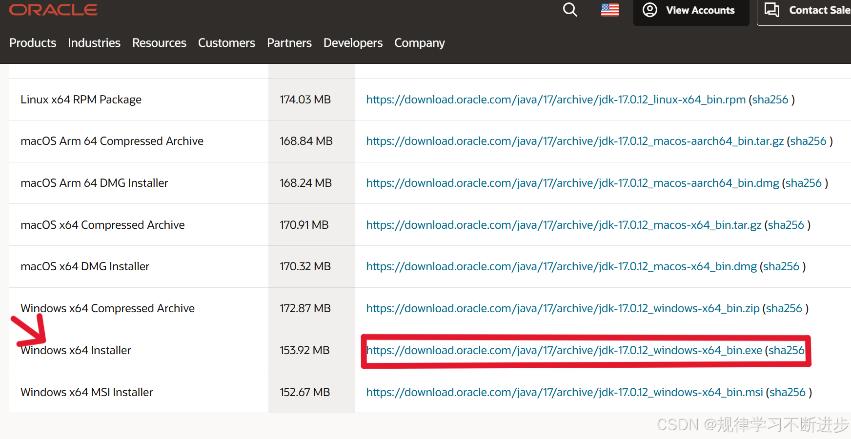 基于Windows11的JAVA JDK环境配置_win11 配置jdk-CSDN博客