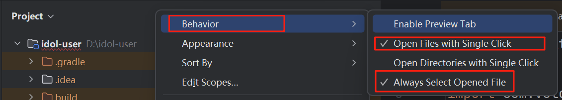 idea2025.1.3设置单击打开文件Open Files with Single Click和文件自动定位Always Select Opened File_idea 自动跟随文件-CSDN博客