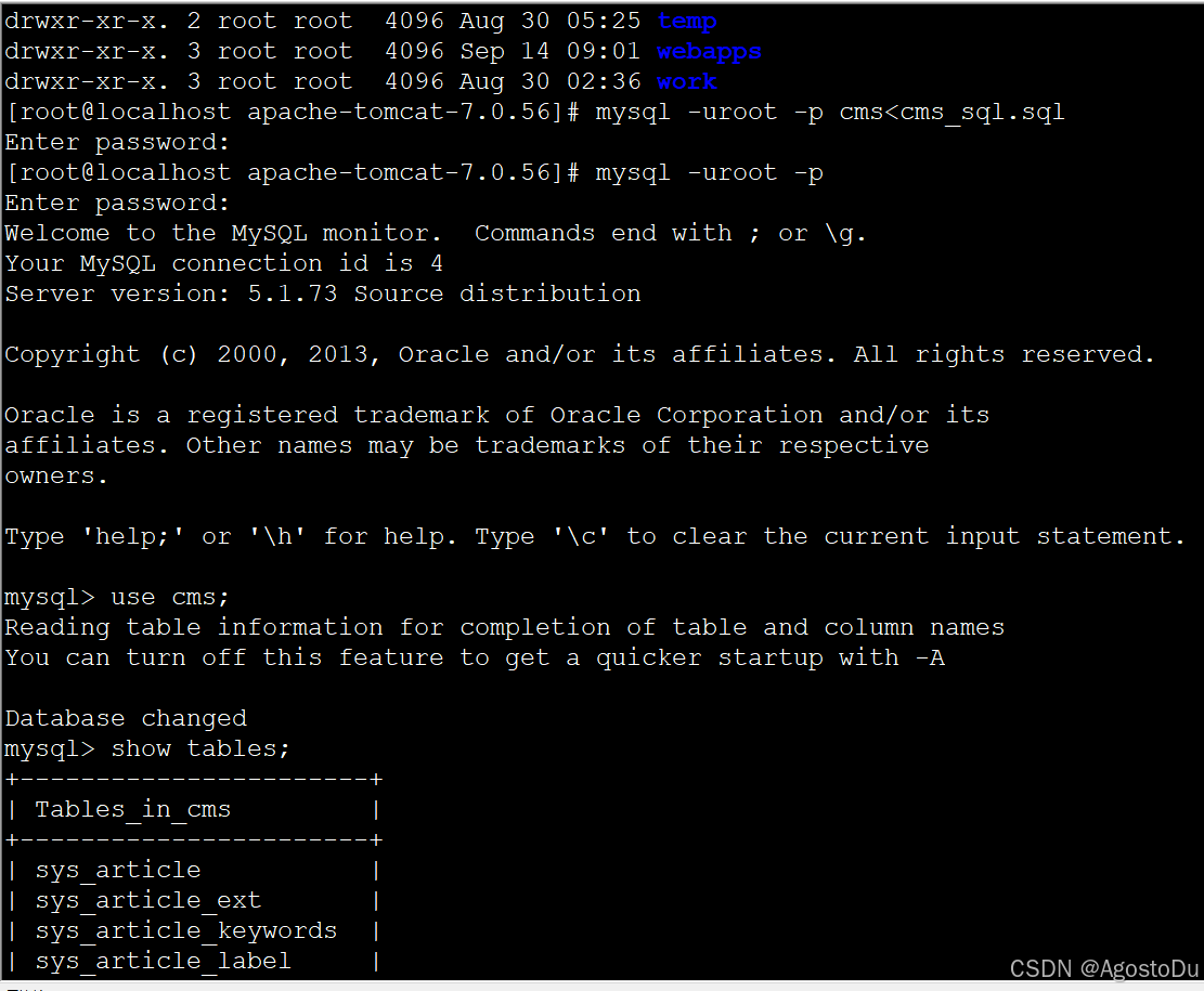 cms环境搭建-CSDN博客