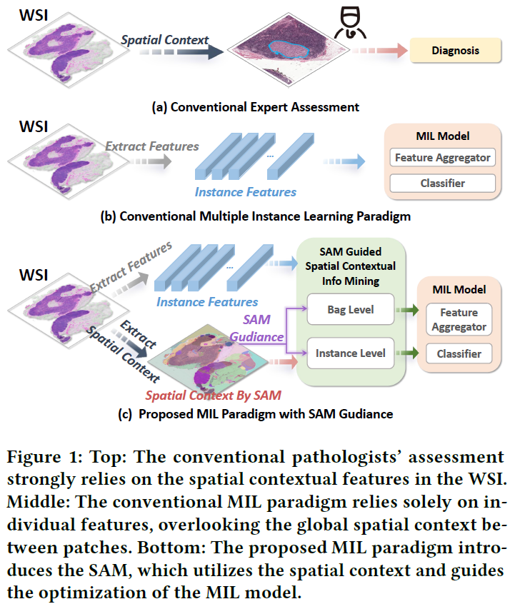 论文124：SAM-MIL: A spatial contextual aware multiple instance learning approach for WSI (MM‘24, 开源 ...