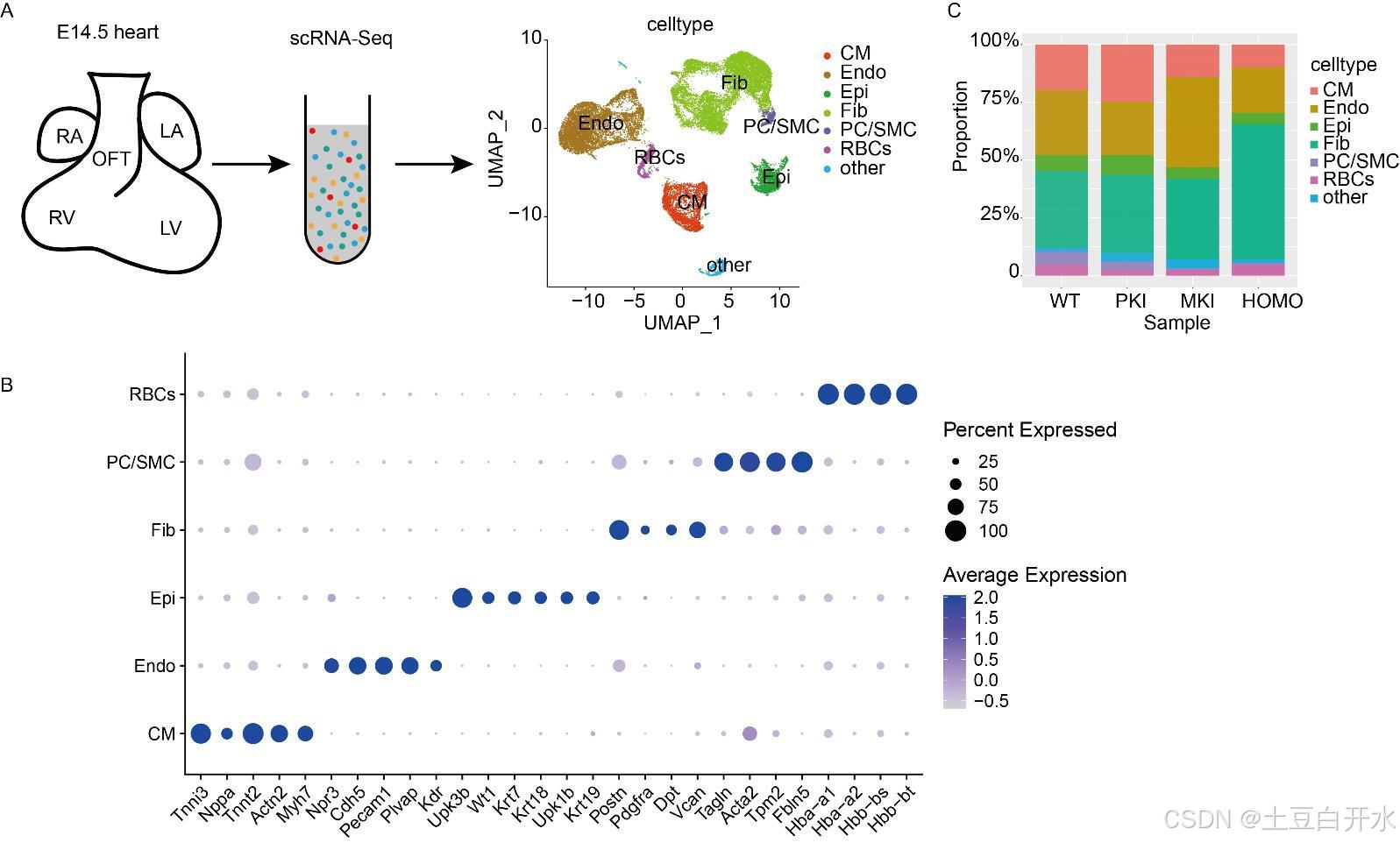 LncRNAs in the Dlk1-Dio3 Domain Are Essential for Mid-Embryonic Heart ...