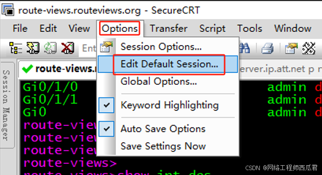 从黑白到炫彩：网络工程师的SecureCRT终端美学革命，SecureCRT如何修改显示配色_securecrt配色-CSDN博客