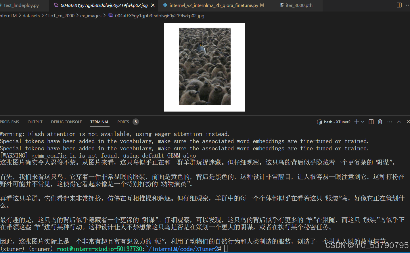 InternVL 微调实践闯关任务_lora 微调 internvl-CSDN博客
