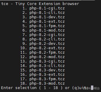 安装Tiny Core Linux 和 部署nginx-CSDN博客