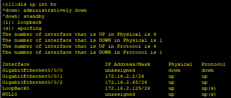 OSPF综合实验_ospf 接口chap-CSDN博客