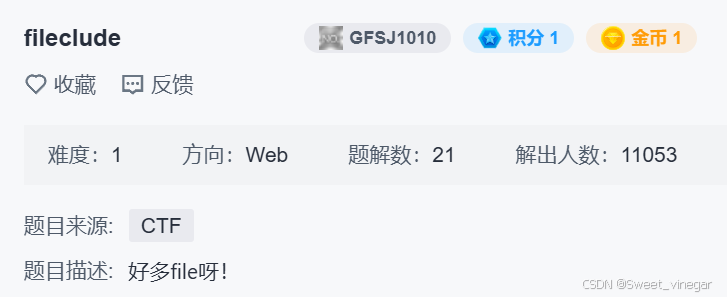 fileclude-CSDN博客