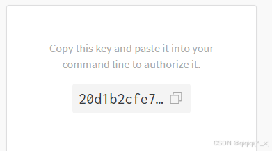 wandb key如何查看_wandb的apikey在哪里看-CSDN博客
