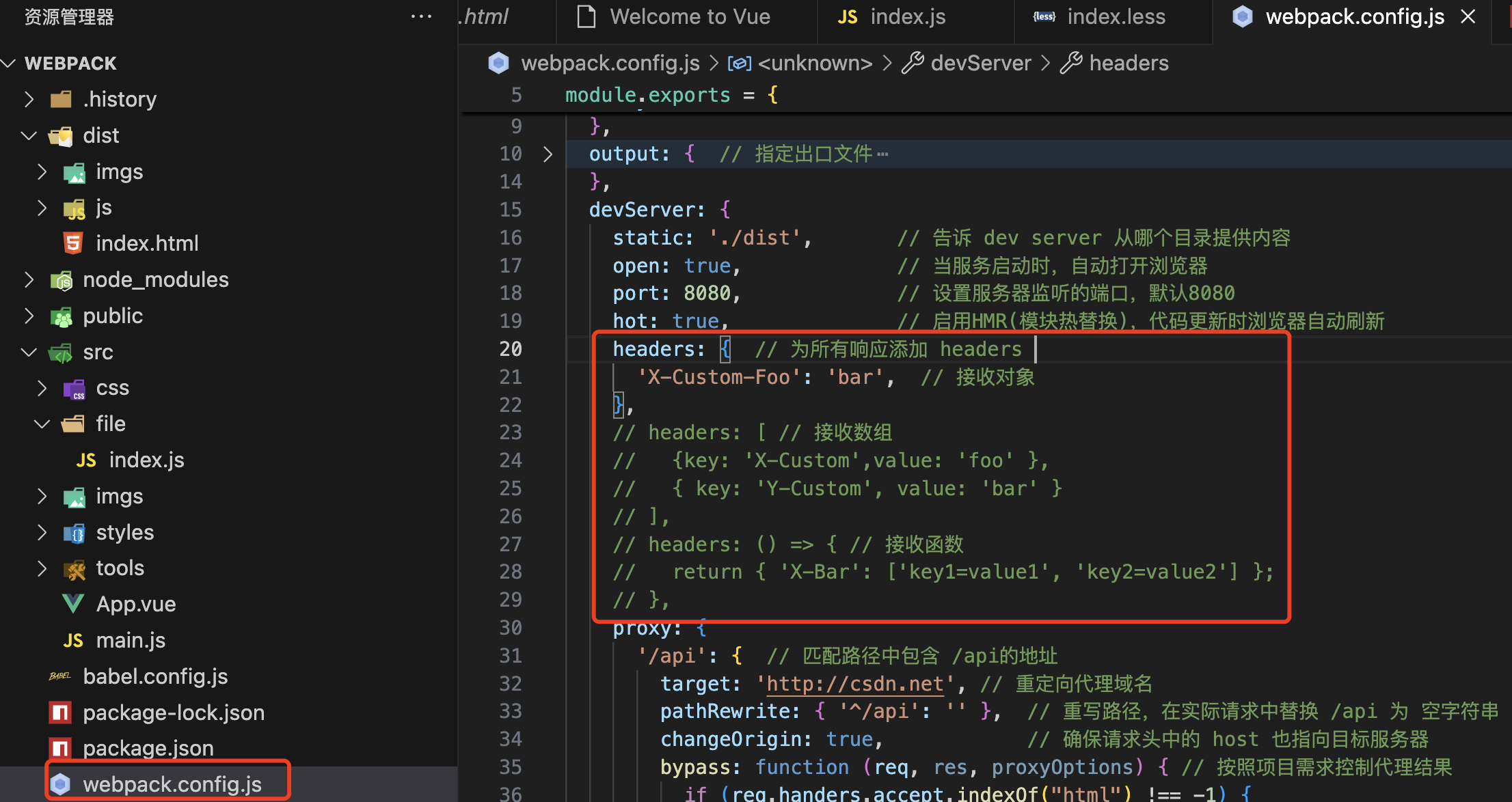Webpack Dev Server_webpack-dev-server-CSDN博客