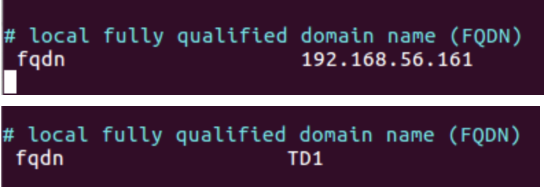 如何彻底搞懂 TDengine 中的 FQDN 概念？_tdengine fqdn-CSDN博客