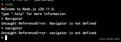 js 逆向之Node 版本引起 Navigator 检测失败_补环境navigator-CSDN博客
