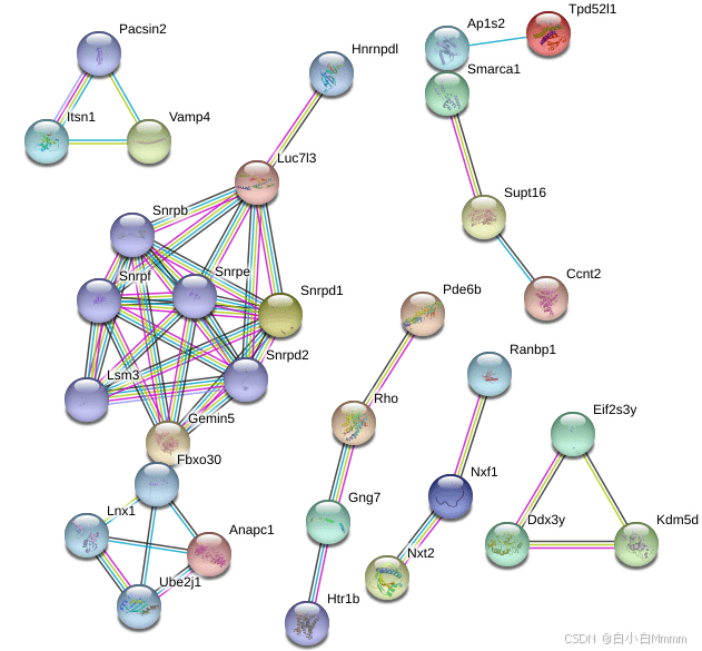 STRING数据库的蛋白质相互作用（PPI）网络分析_string ppi-CSDN博客
