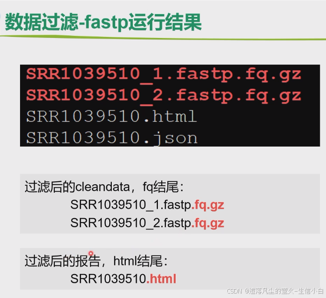 02-转录组上游分析-数据质控、过滤_fastqc软件 产生的质检报告必须要运行multiqc进行整合吗-CSDN博客