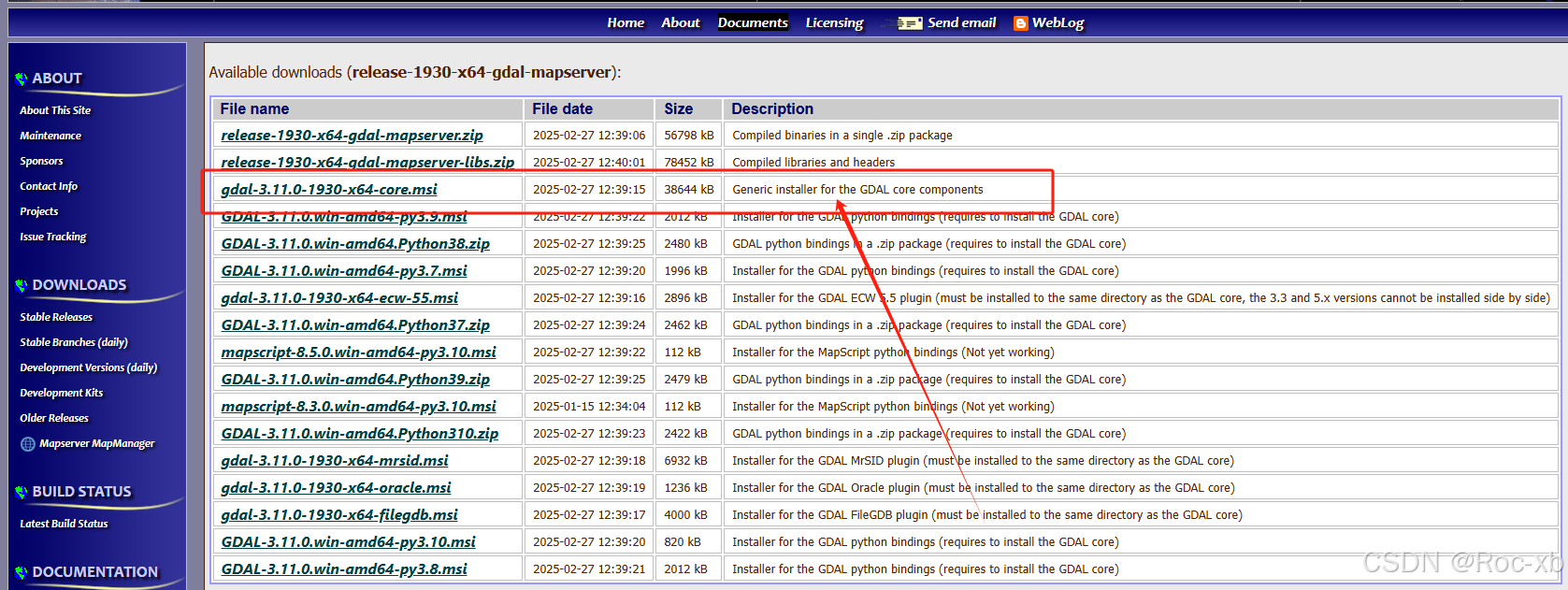 JAVA版本GDAL安装使用教程(详细步骤）_gdal java-CSDN博客