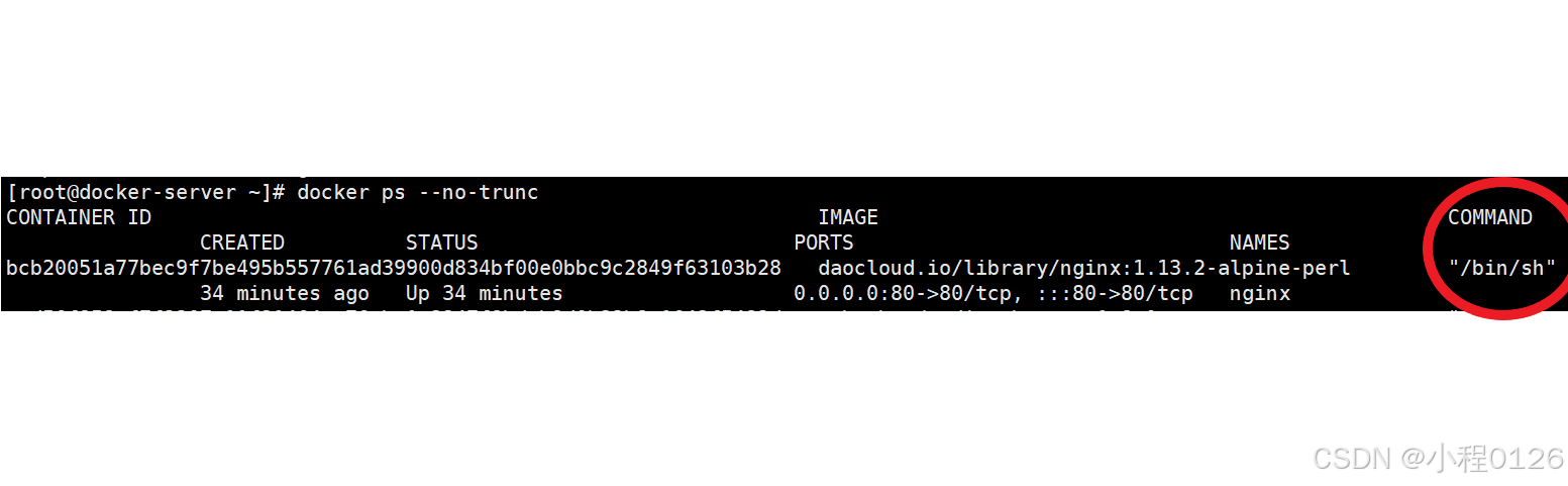 docker: Error response from daemon: no command specified.解决方案-CSDN博客