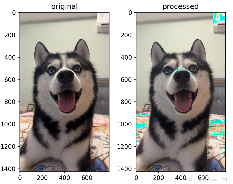 DIP数字图像处理实验第一课_opencv基于dip的三个步骤-CSDN博客