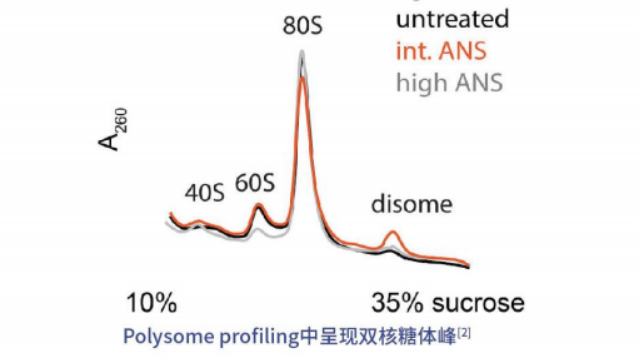 polysome profiling（多聚核糖体图谱分析）——解析翻译调控机制的金标准-CSDN博客