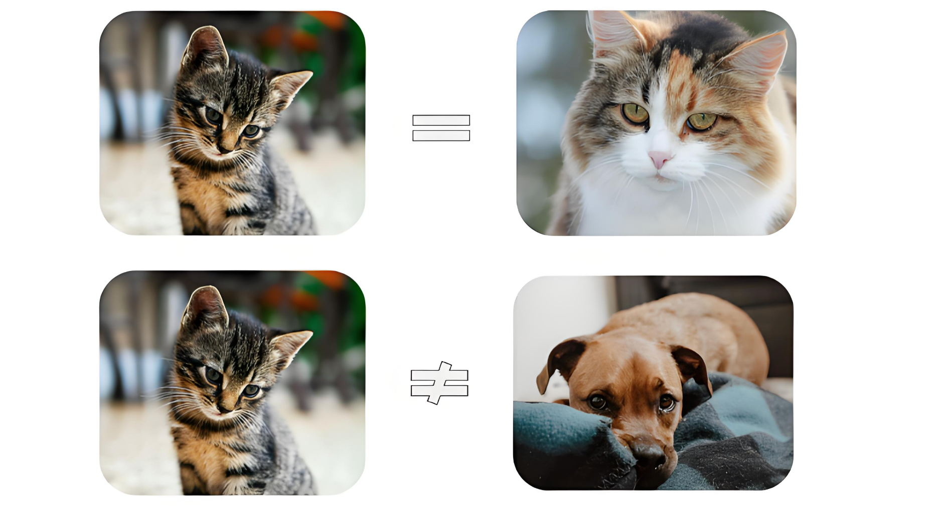 InfoNCE：在特征空间中，正样本和负样本的拔河比赛 —— 从对比学习到多模态融合的全解析_推荐系统-CSDN专栏