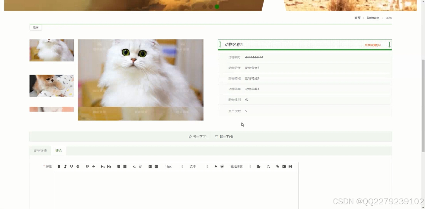 185基于java ssm springboot流浪动物宠物管理系统宠物动物领养医疗保健（源码+文档+运行视频+讲解视频）-CSDN博客