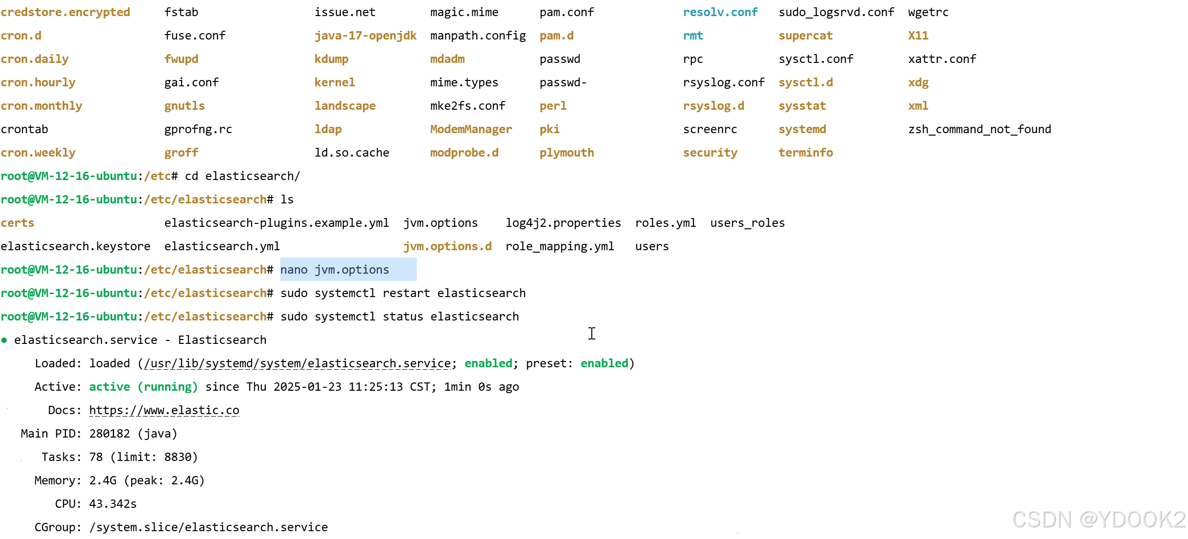 YDOOK-云计算-ubuntu24.04-安装-ElasticSearch-直接服务器安装_ubuntu24.04安装elasticsearch官方源-CSDN博客