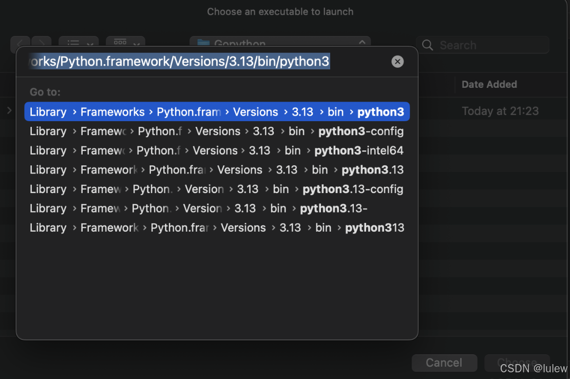 Xcode16.2搭建python3.13（成功一遍过）_xcode python-CSDN博客