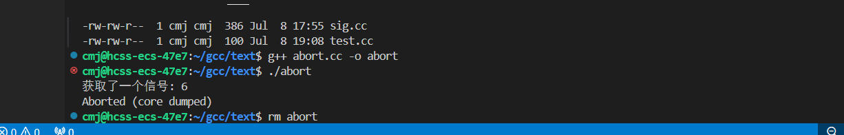 Linux进程信号（二）-CSDN博客