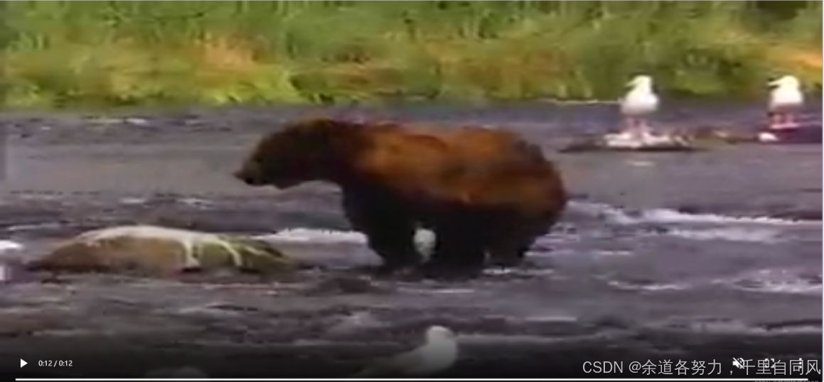 vue封装video组件（基于flv）_vue video flv-CSDN博客