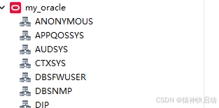 oracle 导入导出命令，全网最详细_oracle impdp导入命令-CSDN博客