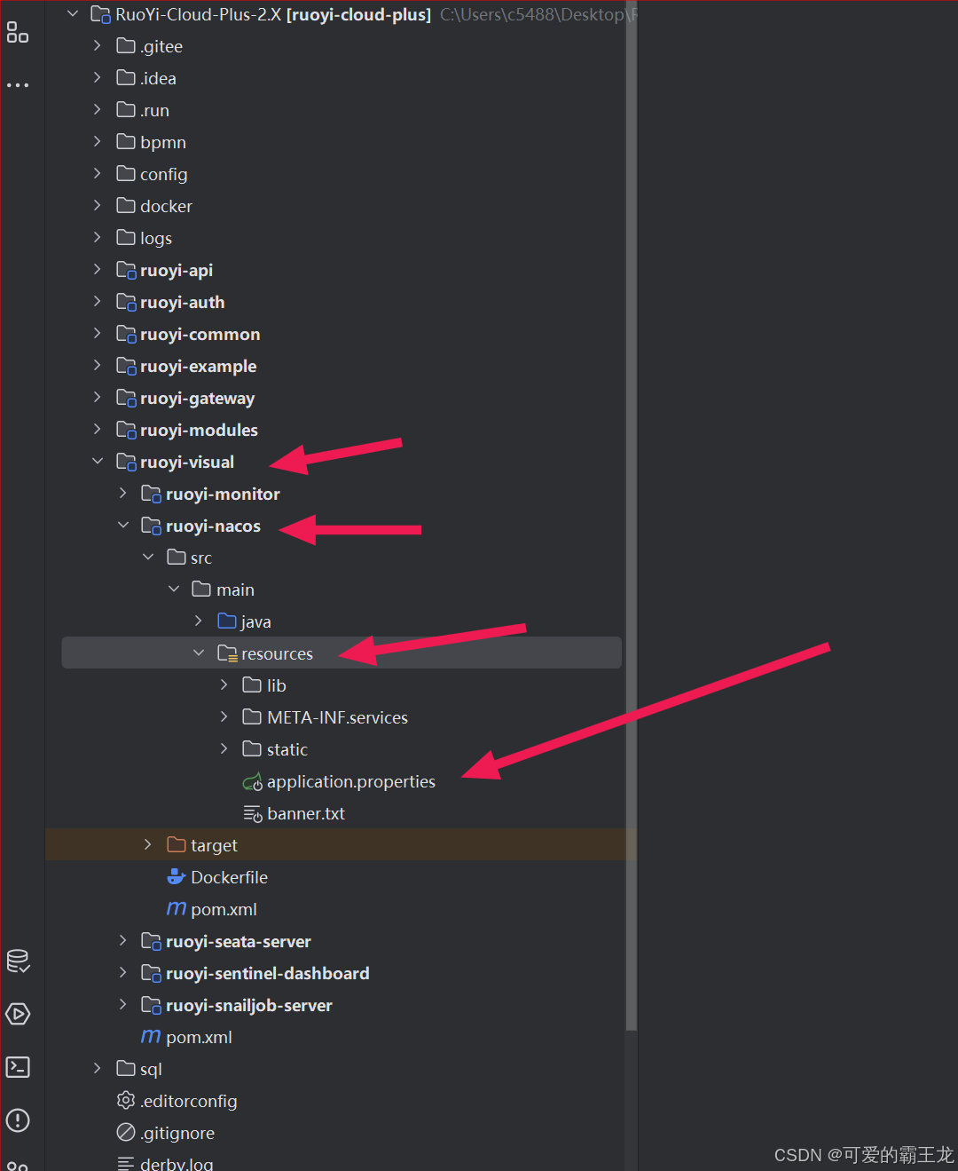 RuoYi-Cloud-Plus-2.X无废话，快速配置启动_ruoyi cloud plus-CSDN博客