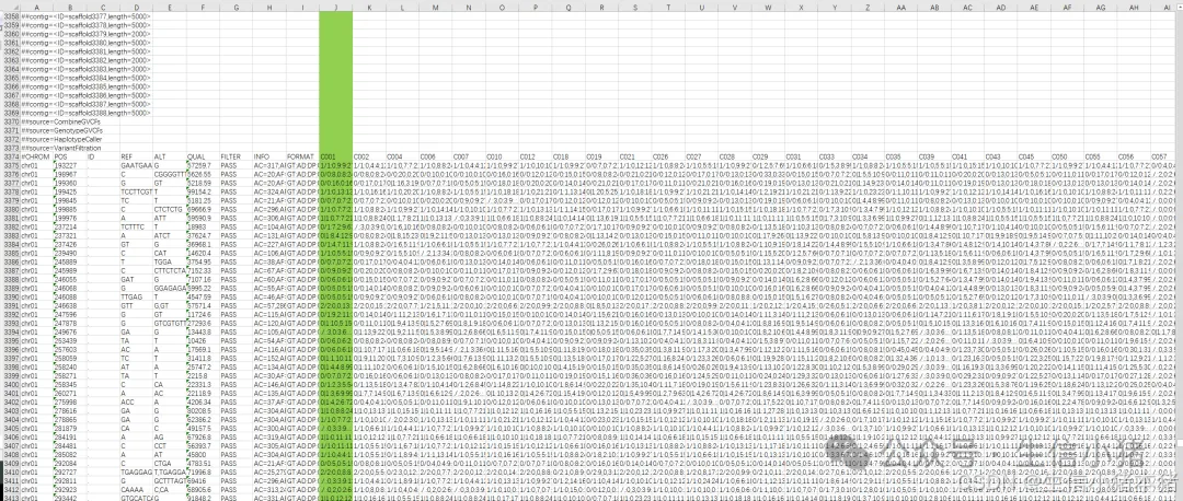 使用python脚本把indel的vcf格式文件转化为plink格式文件_plink 输出的vcf-CSDN博客