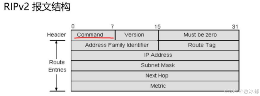 RIP的基本概念-CSDN博客