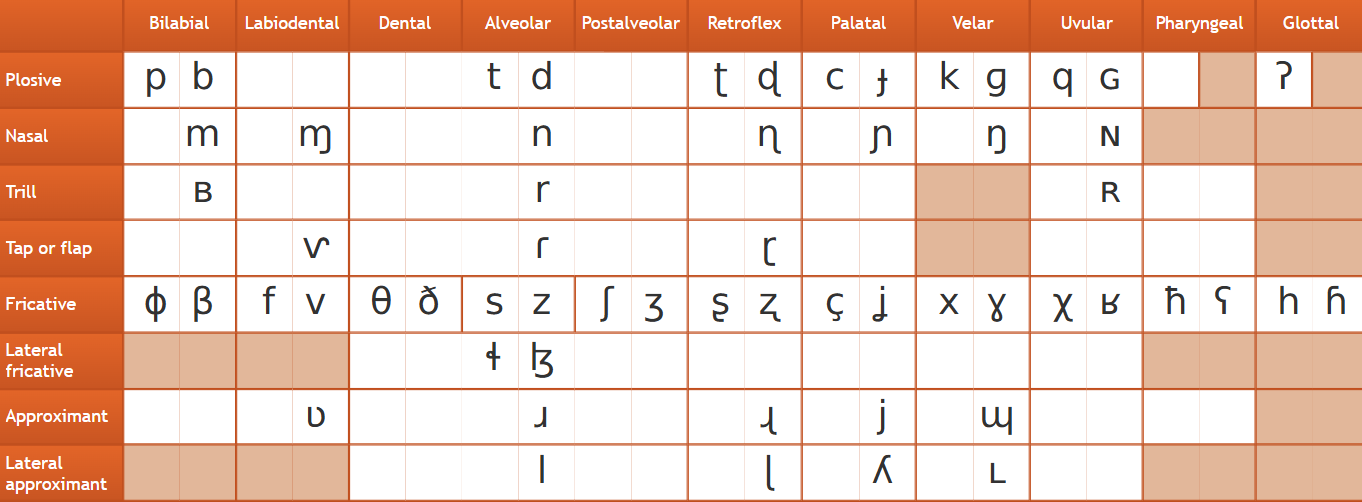 【超详细】一网打尽国际音标（IPA）辅音系统：从符号到发音的终极指南_ipa发音-CSDN博客