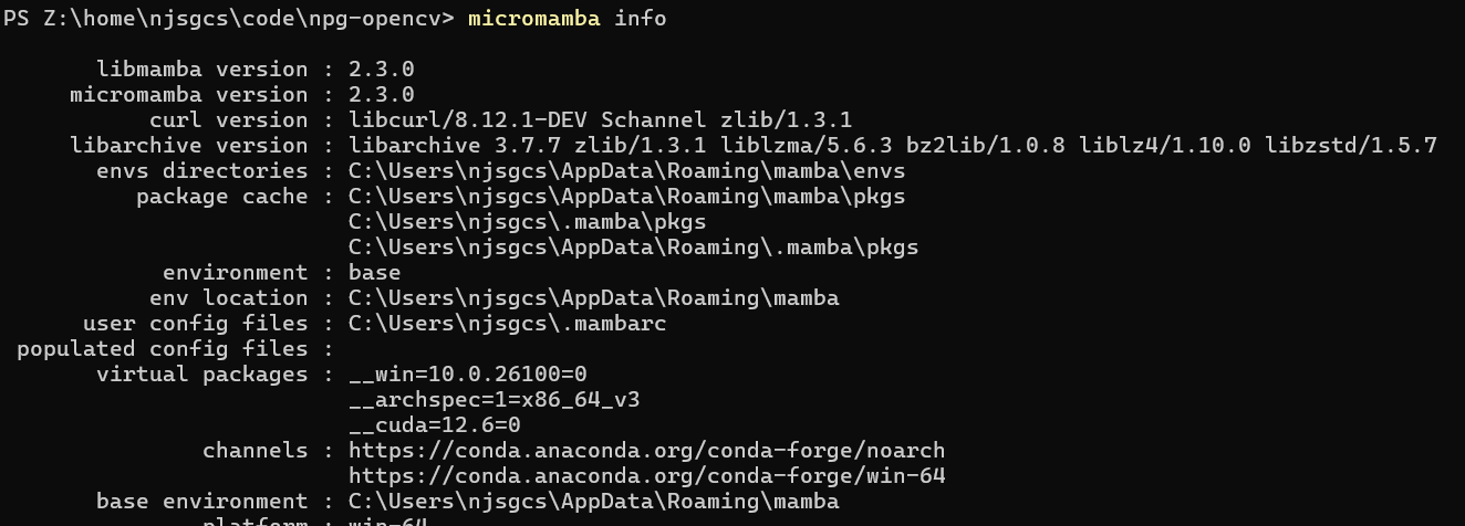 windows安装micromamba 设置镜像源_micromamba windows-CSDN博客