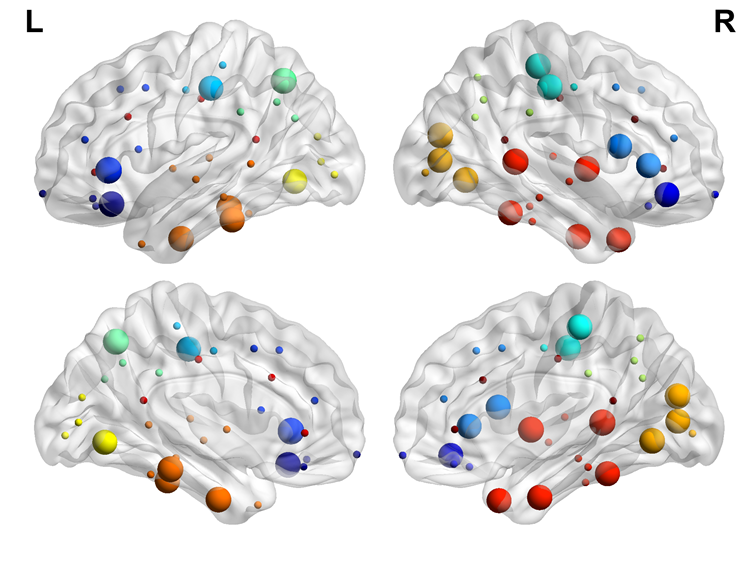 BrainNet Viewer绘图教程——脑研究可视化一站式解决-CSDN博客